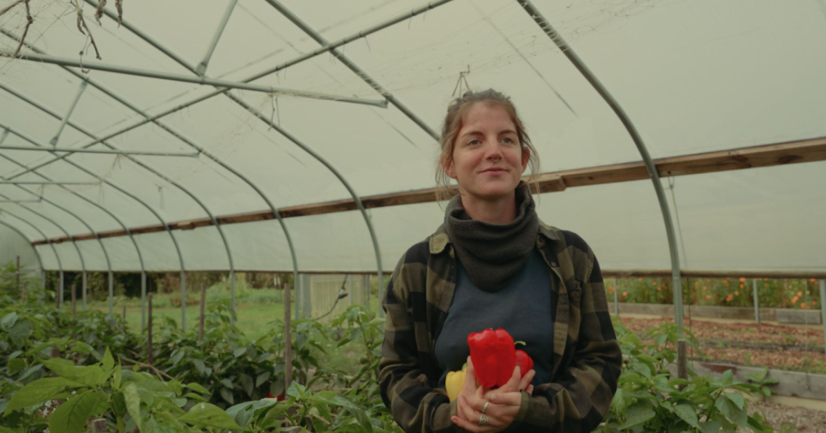 Sadie Higgins | UMassFive